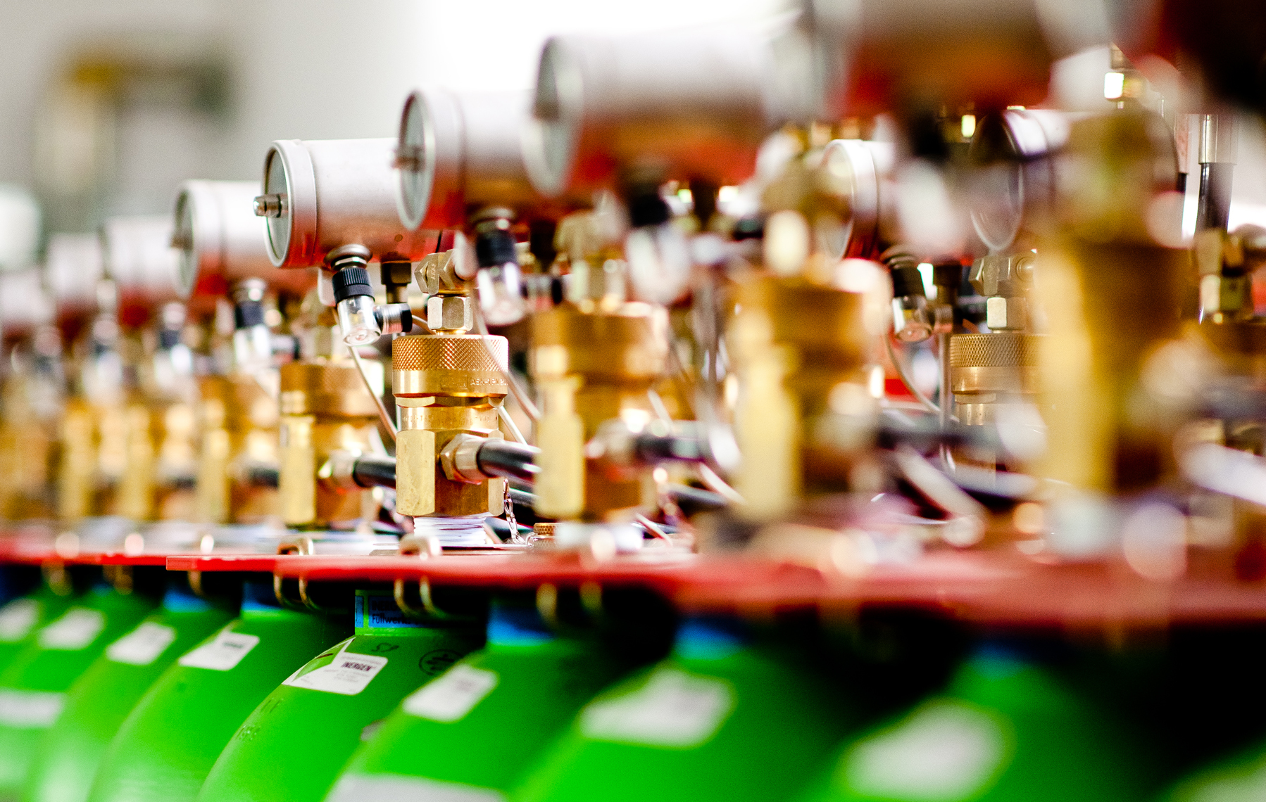 ed tyler photographer